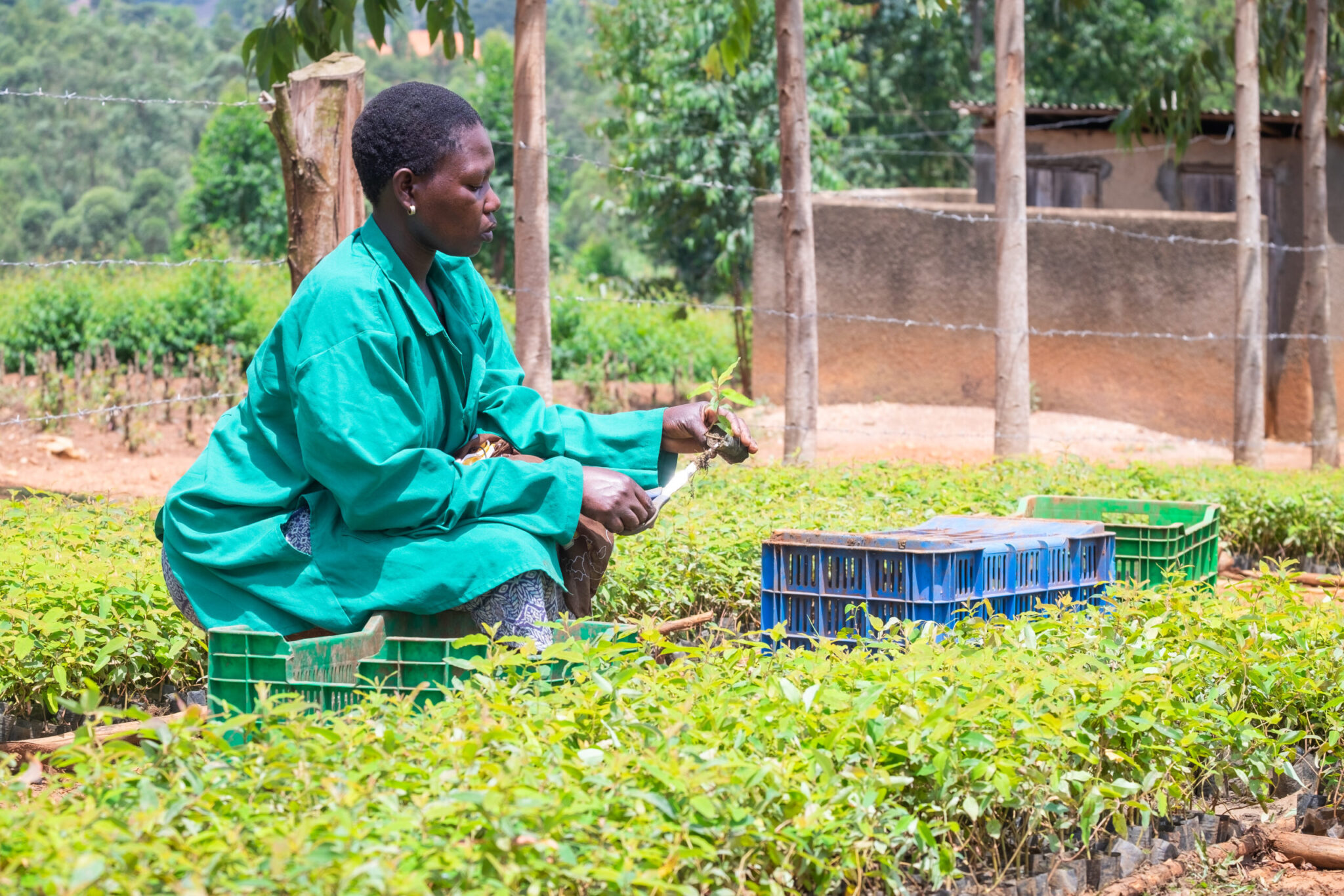 About - Aceli Africa